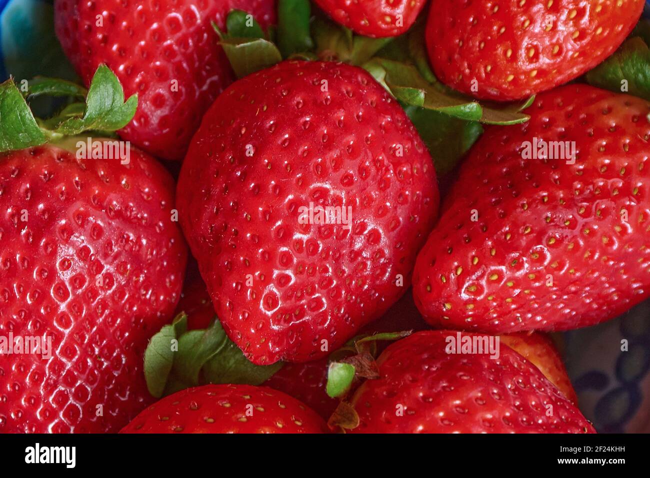 Deep red color hi-res stock photography and images - Alamy