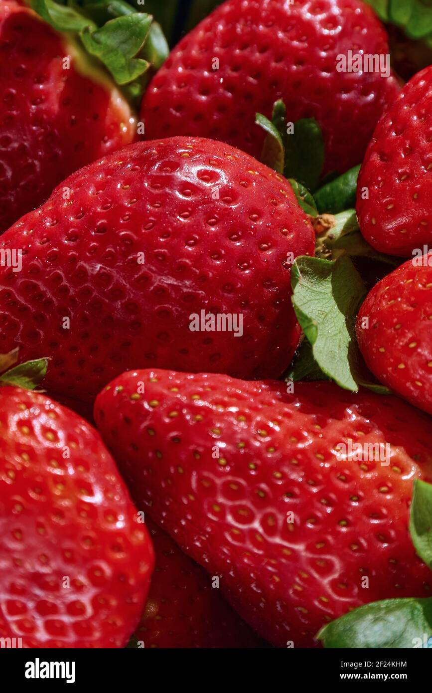 Deep red color hi-res stock photography and images - Alamy