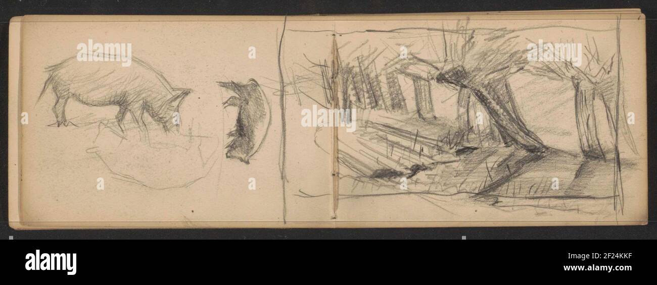 Varkens en knotwilgen langs een pad.Drawing of pollard willows along a ...