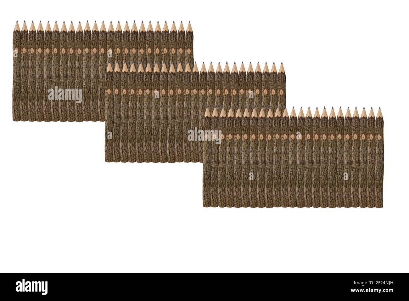 number of unusual pencils of the branches of a tree isolated on white ...