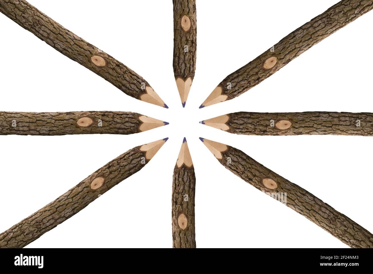 Pencils for drawing from a tree branch separately on a white background ...