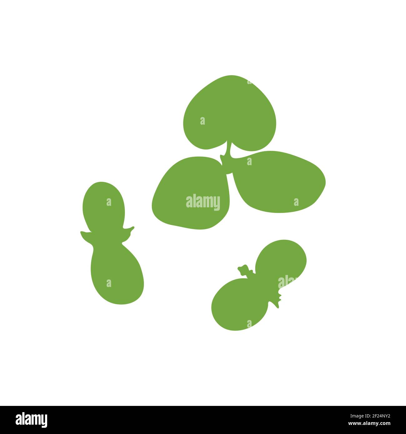 Seedling on a white background. Vector illustration on white isolated ...