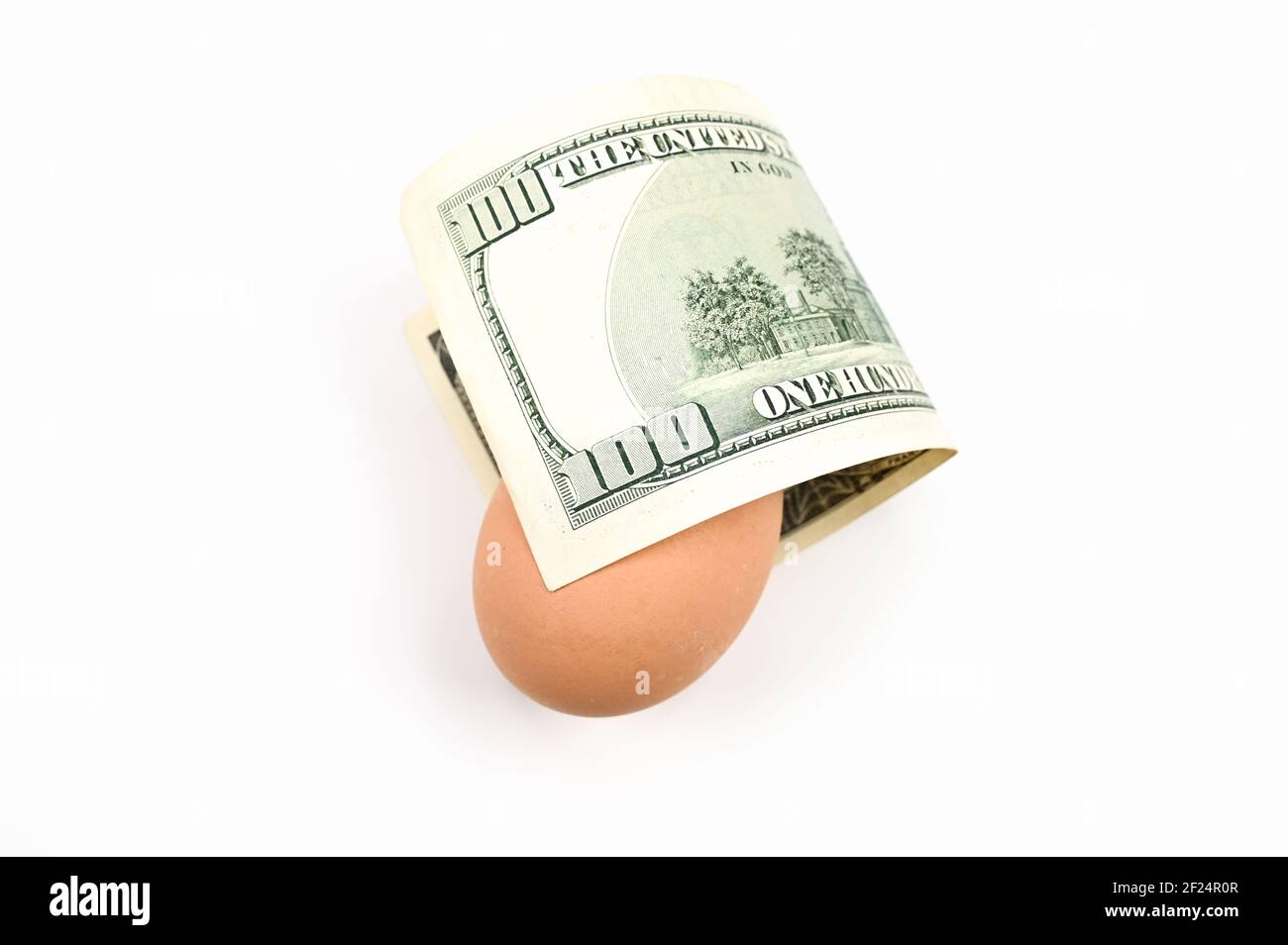 Dollar and chicken egg, on isolated white background . High quality ...