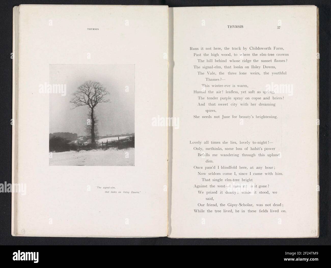 Winter scene in elm hi-res stock photography and images - Alamy