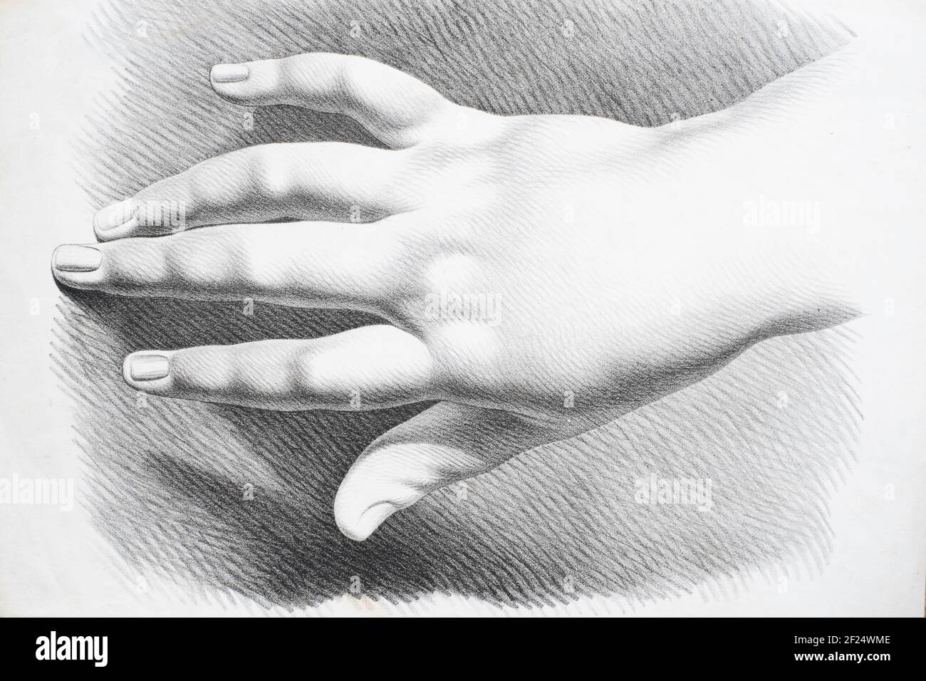 Stretched hand seen from above, study in black and white, 19th century ...