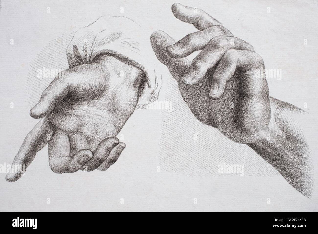 Hand study in different positions. Black and white on paper. 19th Century illustration to teach ...