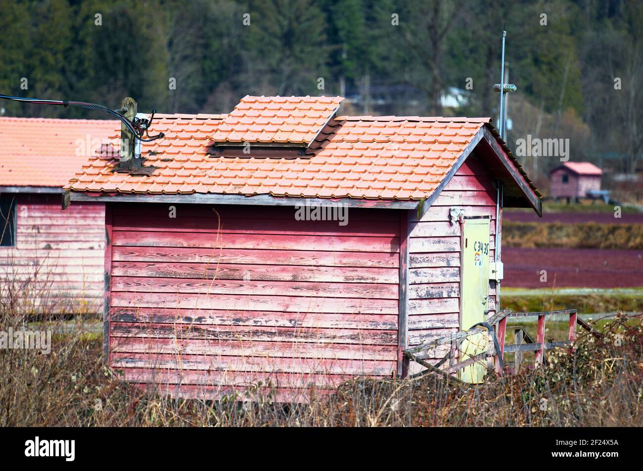 Rundown shed hi-res stock photography and images - Alamy