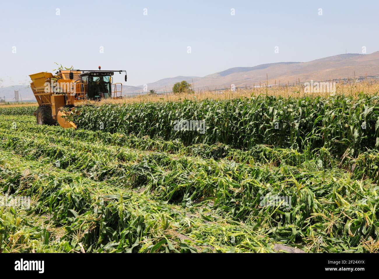 Crop picker hi-res stock photography and images - Alamy