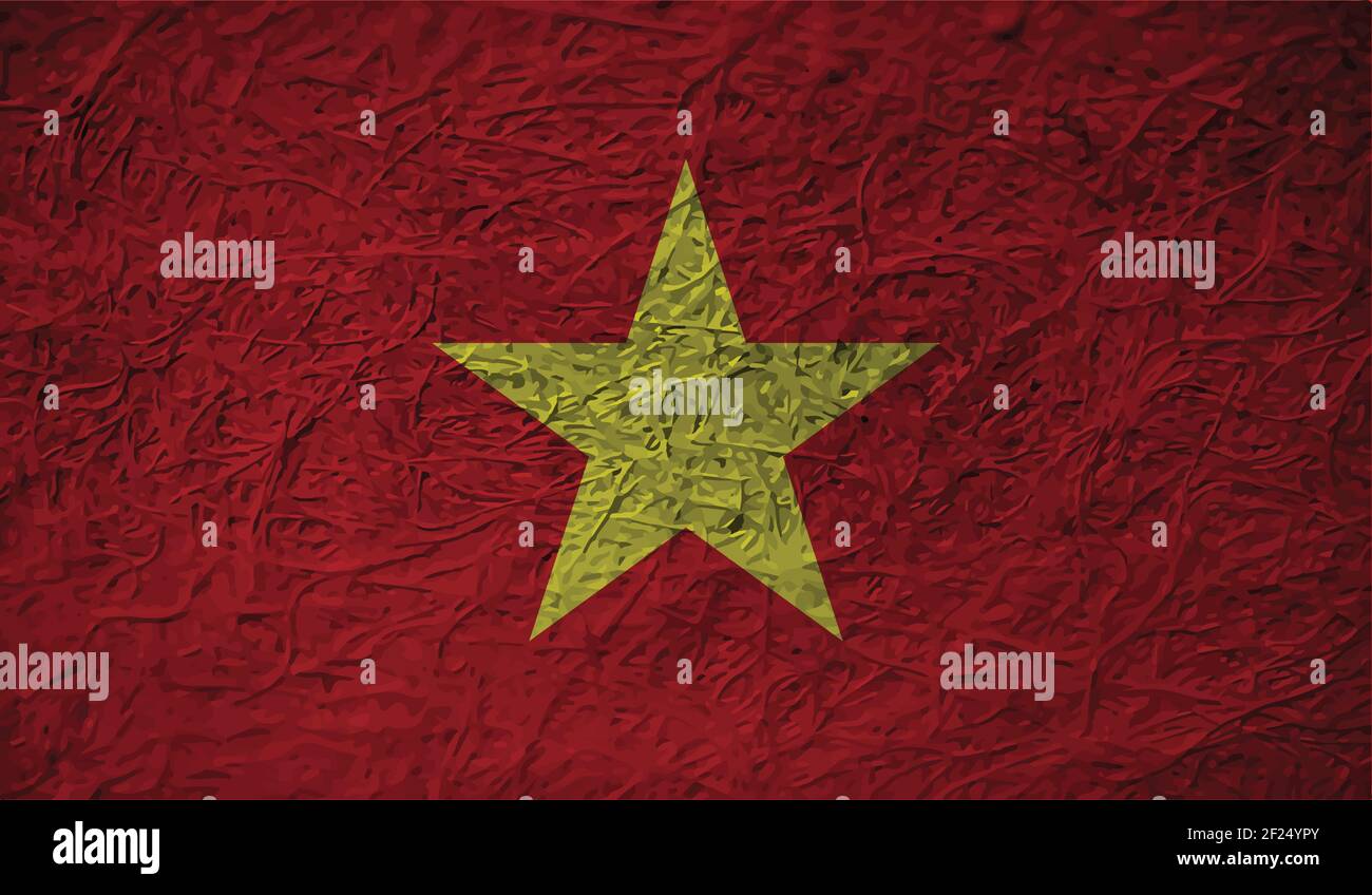 Vietnam flag with waving grunge texture. Vector background Stock Vector ...