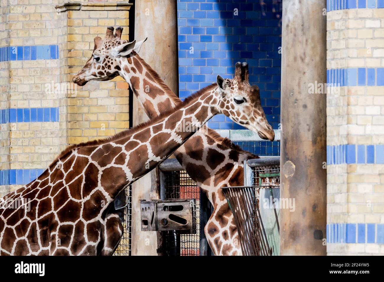 Past two seasons hi-res stock photography and images - Alamy