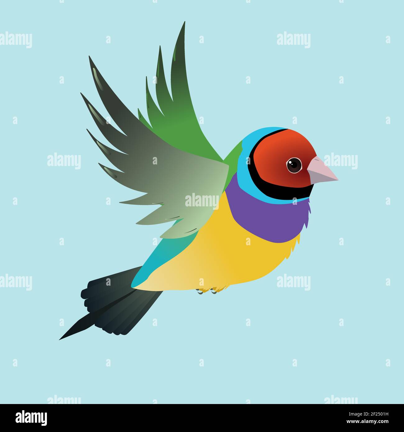 Finch Bird Flying