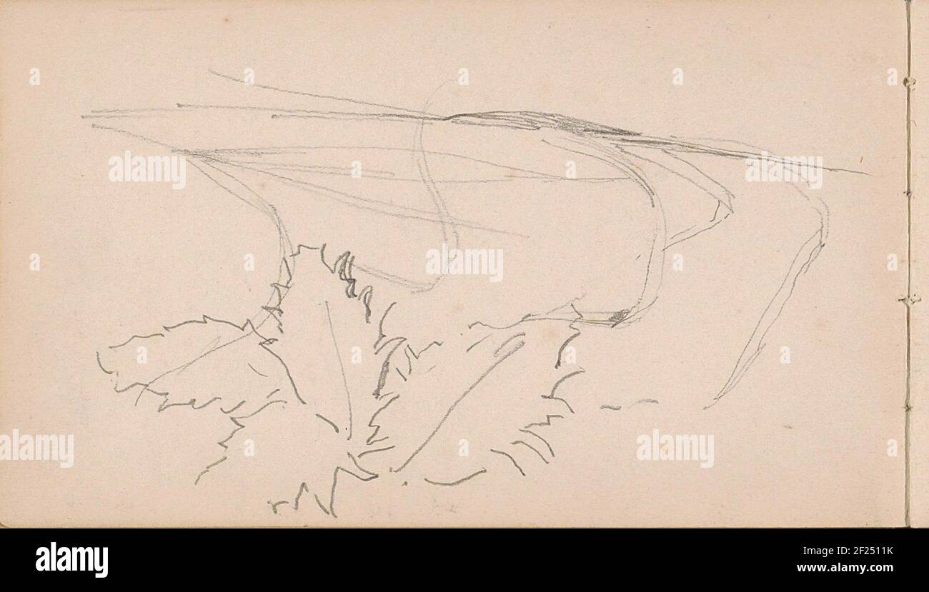 Toothed leaf edge hi-res stock photography and images - Alamy