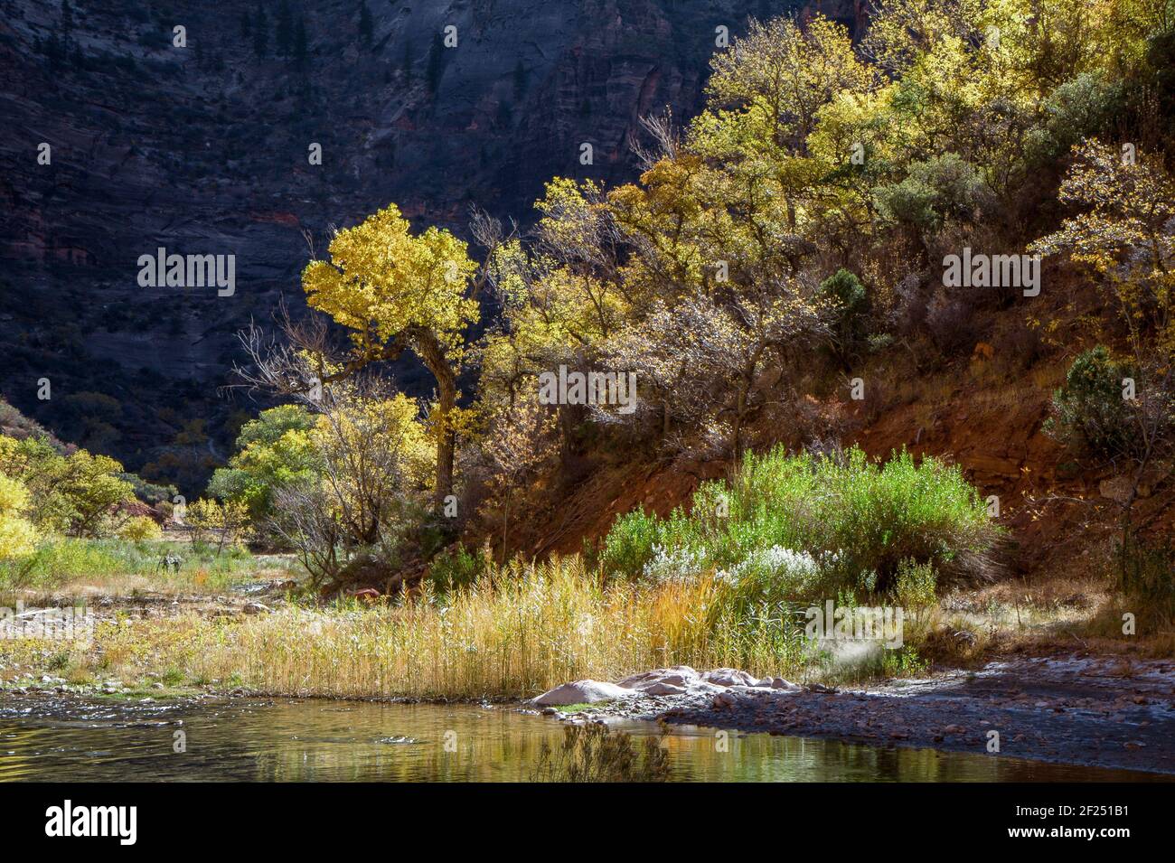 The virgin walking hi-res stock photography and images - Alamy