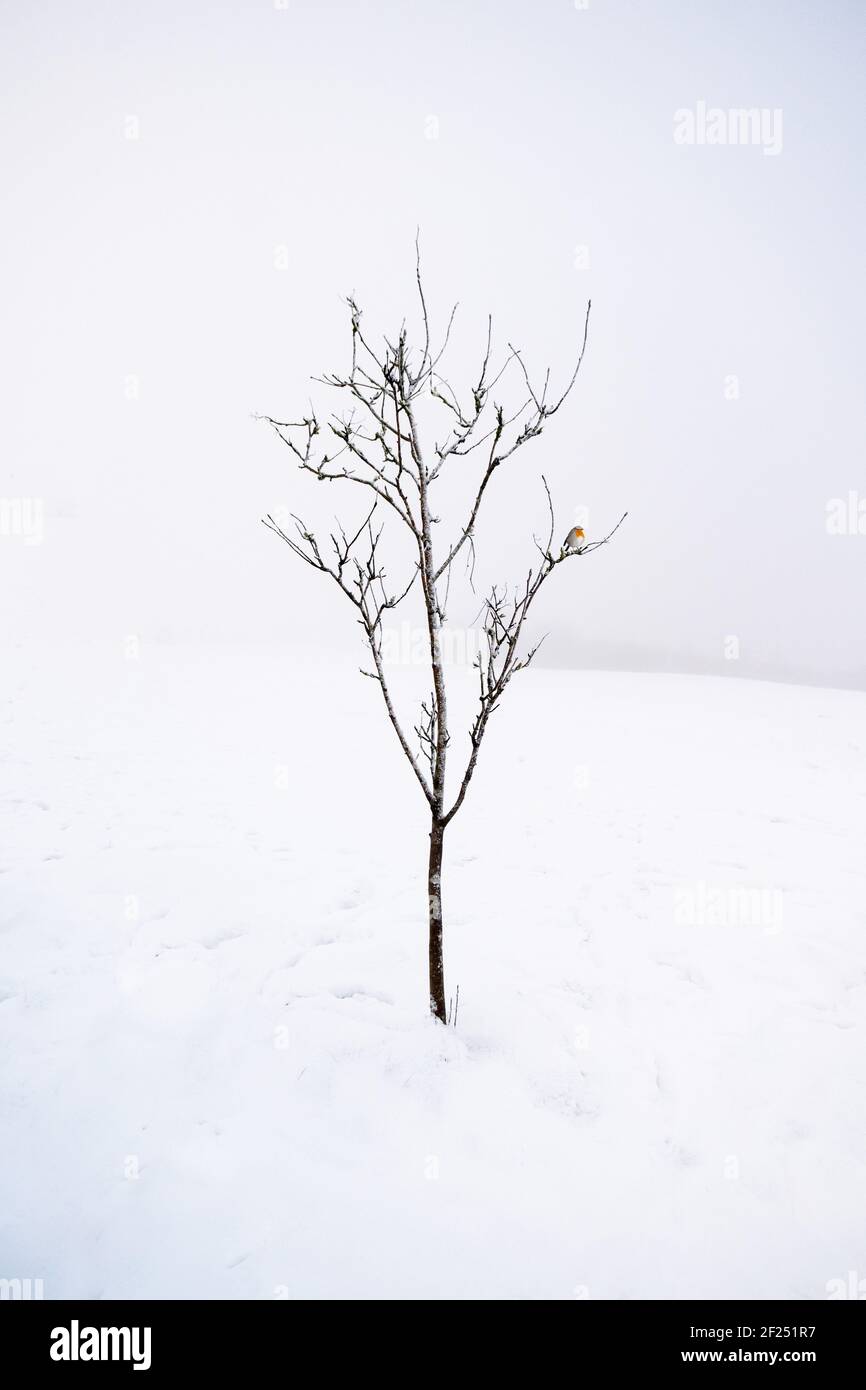 Yacht snow mountains hi-res stock photography and images - Alamy