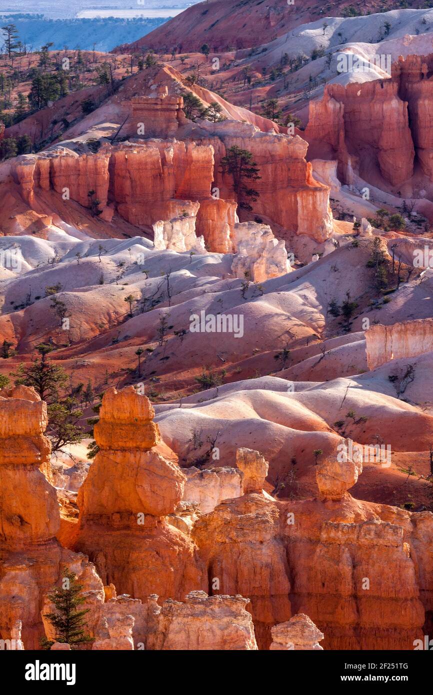 Vertical scenic view natural hi-res stock photography and images - Alamy