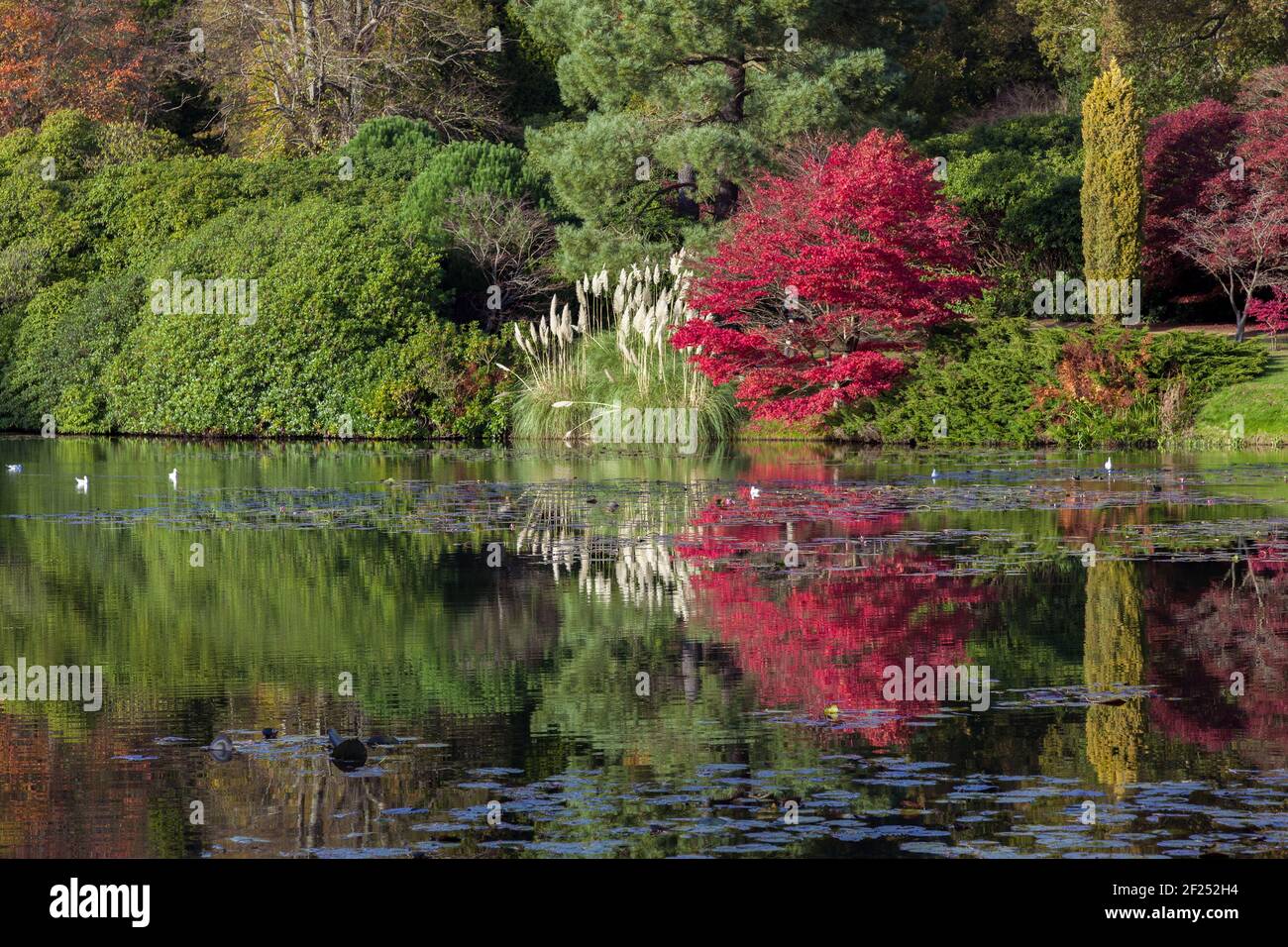 Sheffield Park Gardens High Resolution Stock Photography and Images - Alamy