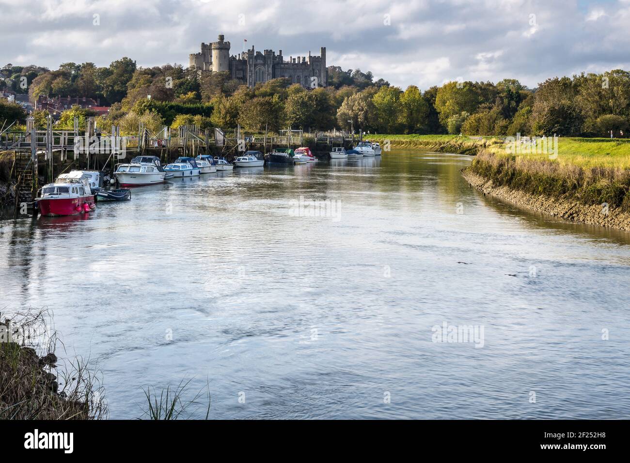 Arundel castle tree hi-res stock photography and images - Alamy