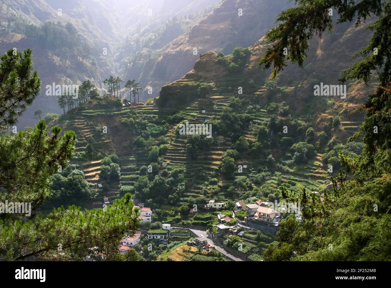 Field terrace madeira hi-res stock photography and images - Alamy