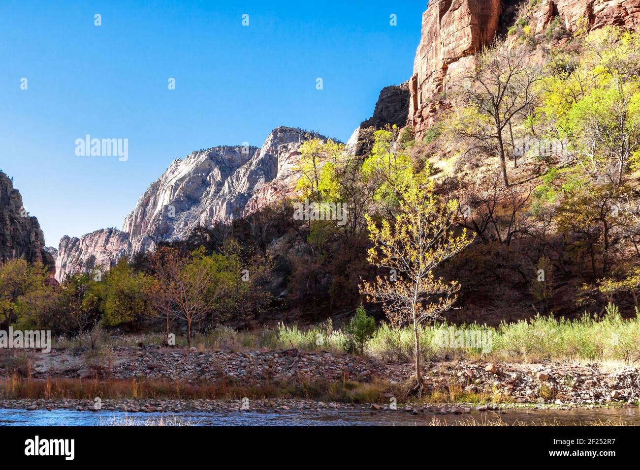 Shadow of sun in river hi-res stock photography and images - Alamy