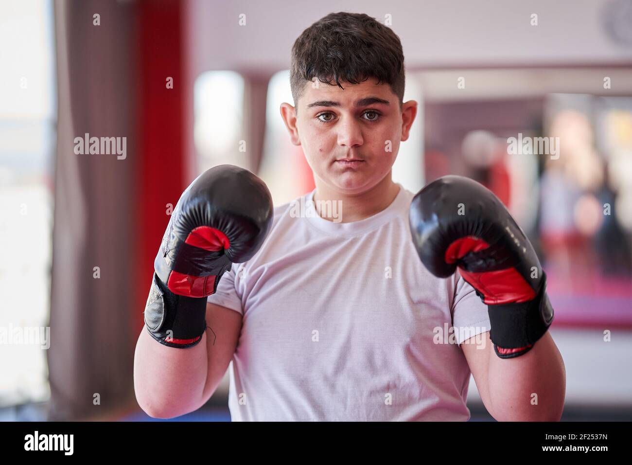 Confident overweight boxer with gloves posing in the gym Stock Photo ...