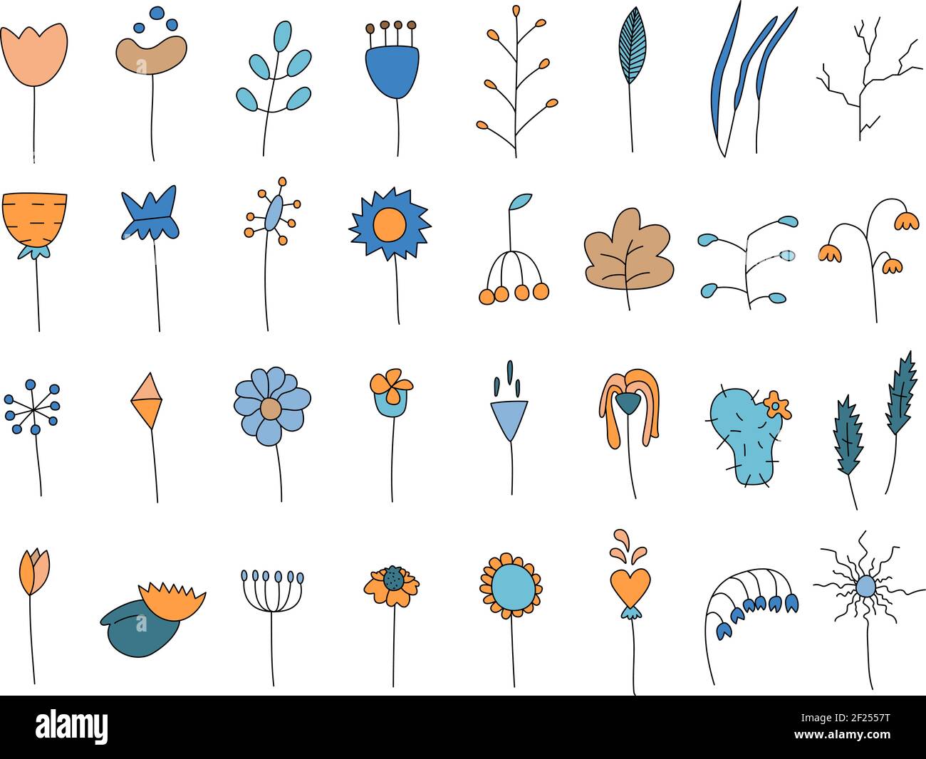 Set of 32 different hand drawn floral botanical elements for design ...