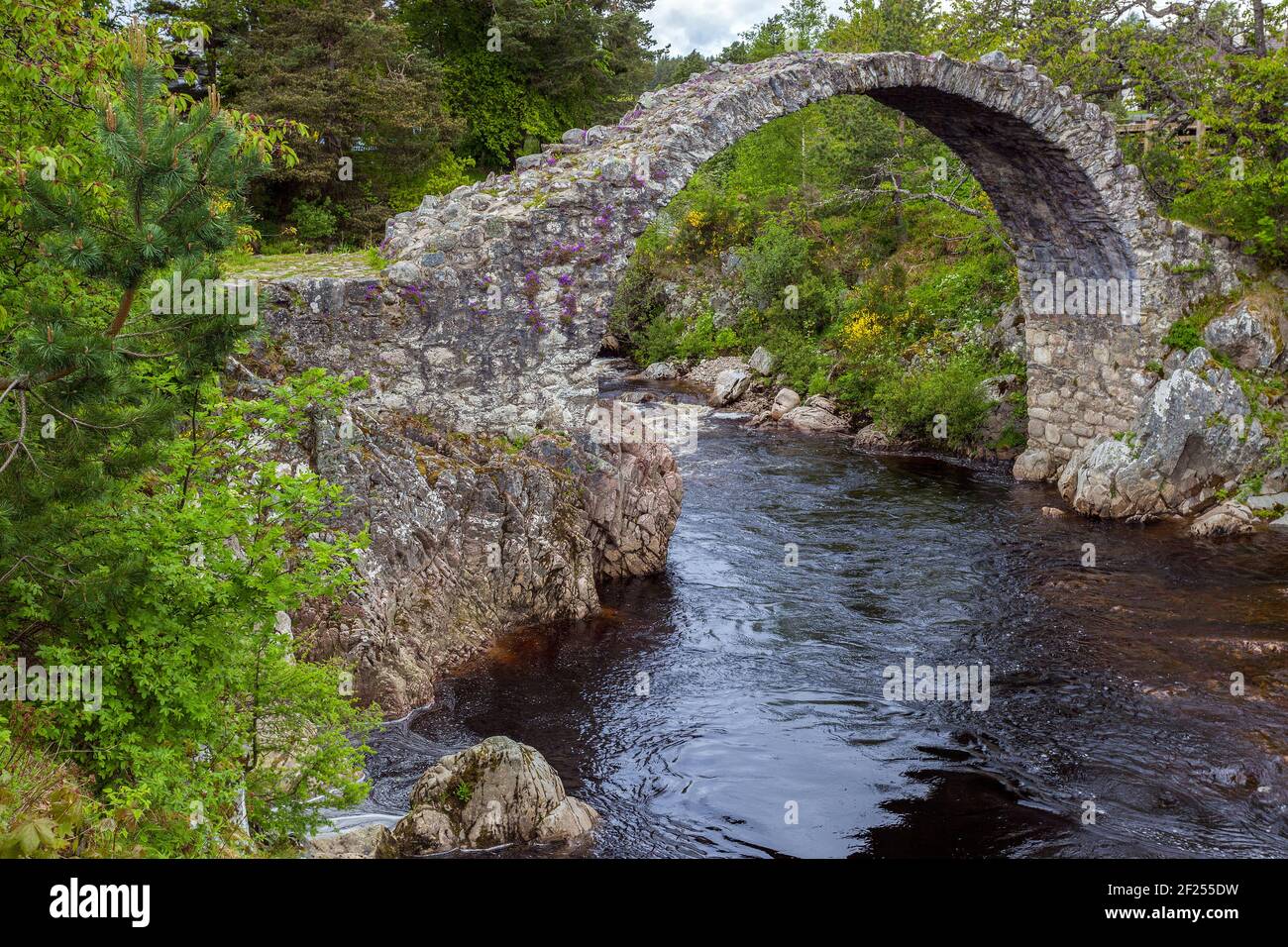 Strathspeyscotland hi-res stock photography and images - Alamy