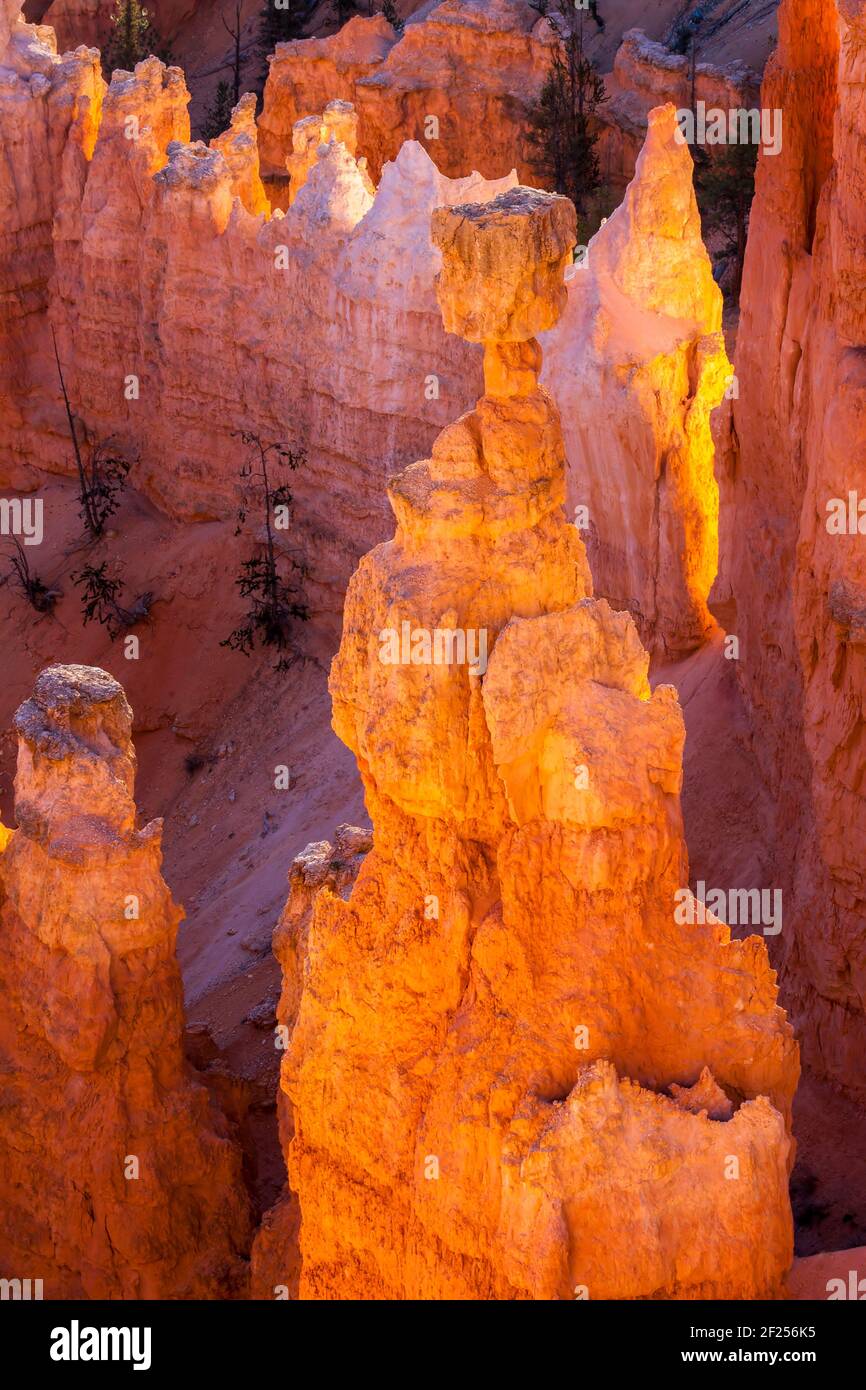 View hoodoos in amphitheater hi-res stock photography and images - Alamy