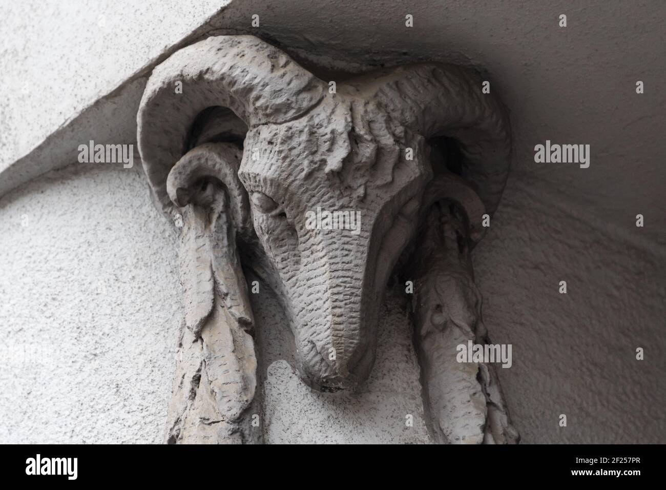 Stone goat head on the facade of the building. Animal art, ram head ...