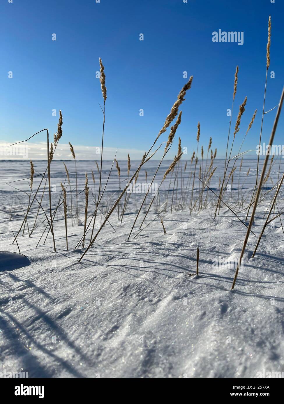 Boundless field hi-res stock photography and images - Alamy