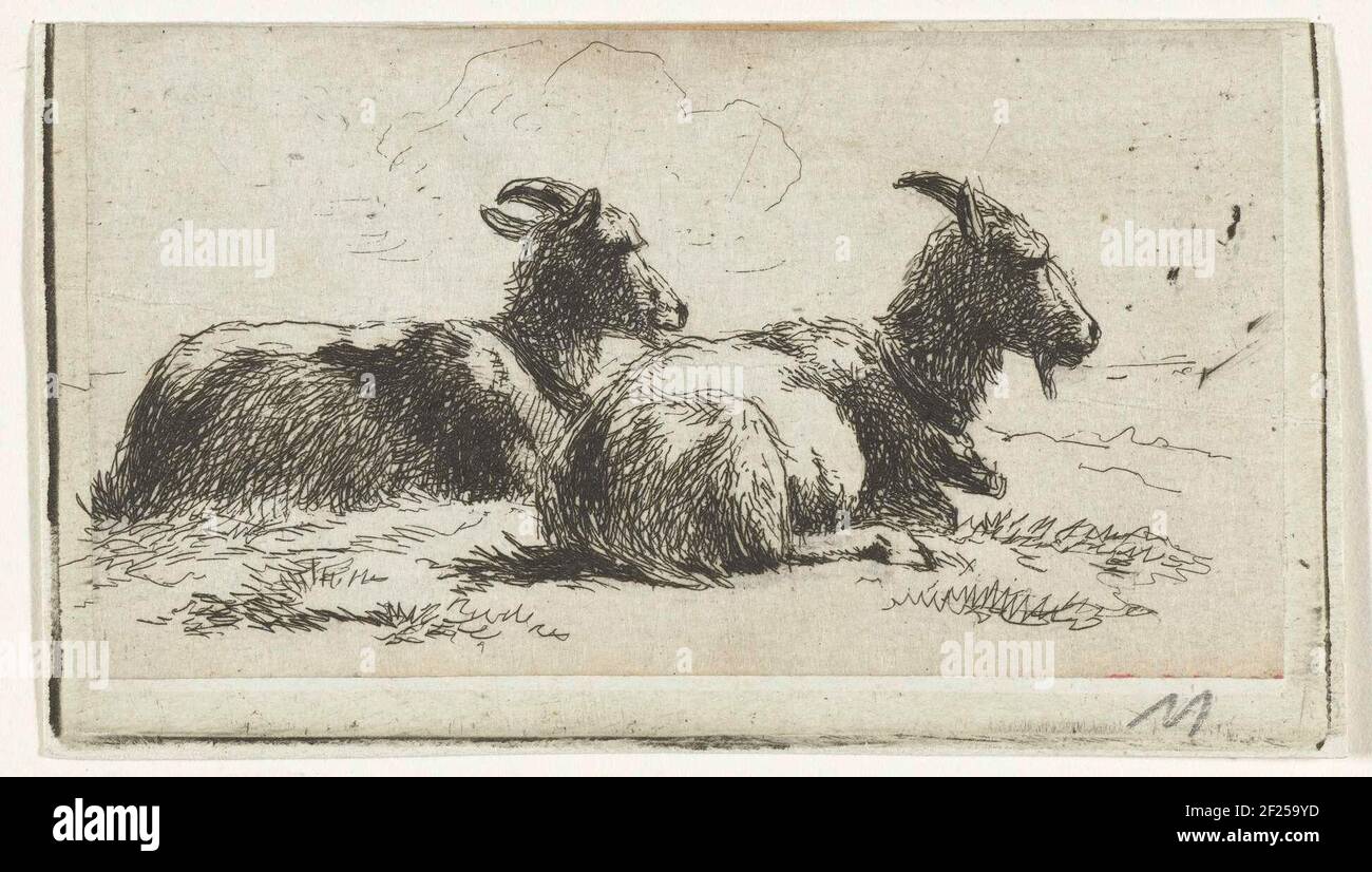 Two lying goats Stock Photo - Alamy