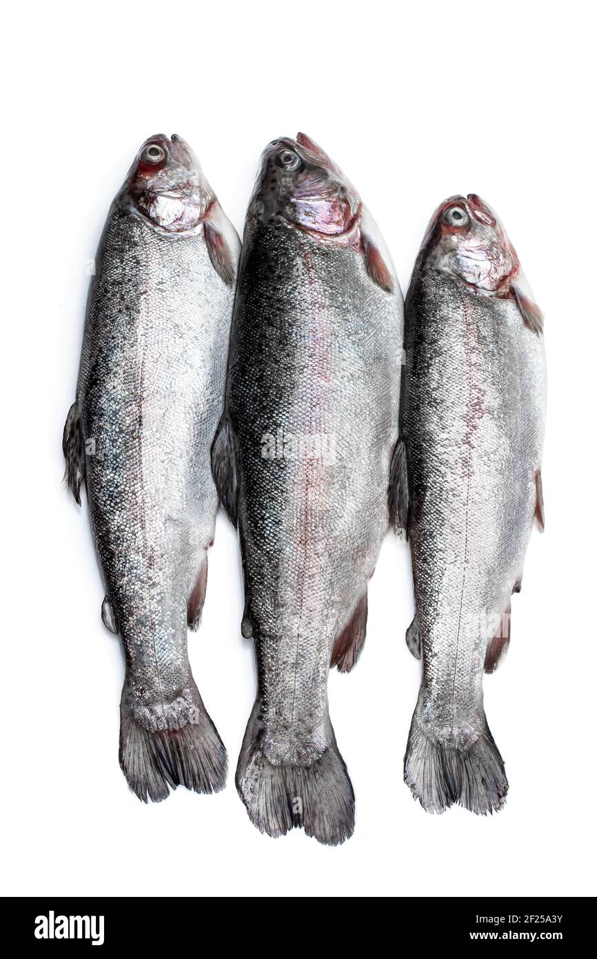 Rainbow trout skin scales hi-res stock photography and images - Alamy