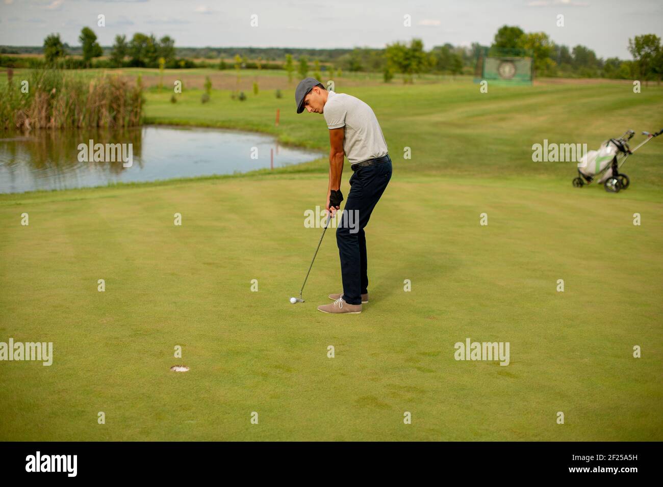 Handsome young man playing golf Stock Photo - Alamy