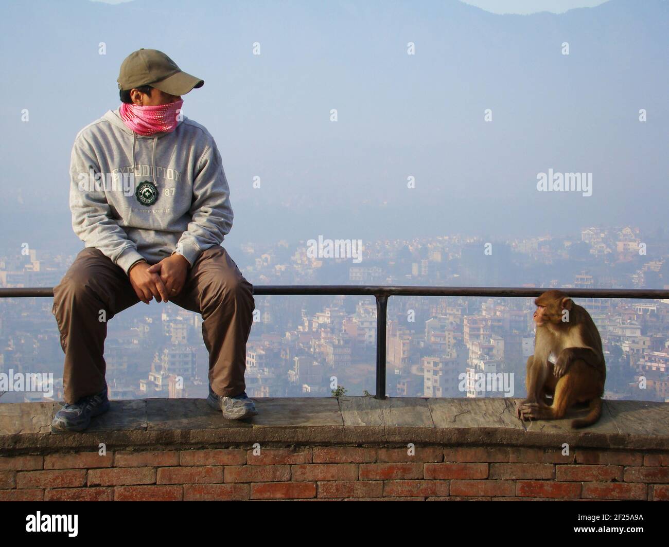 Non human primate hi-res stock photography and images - Alamy