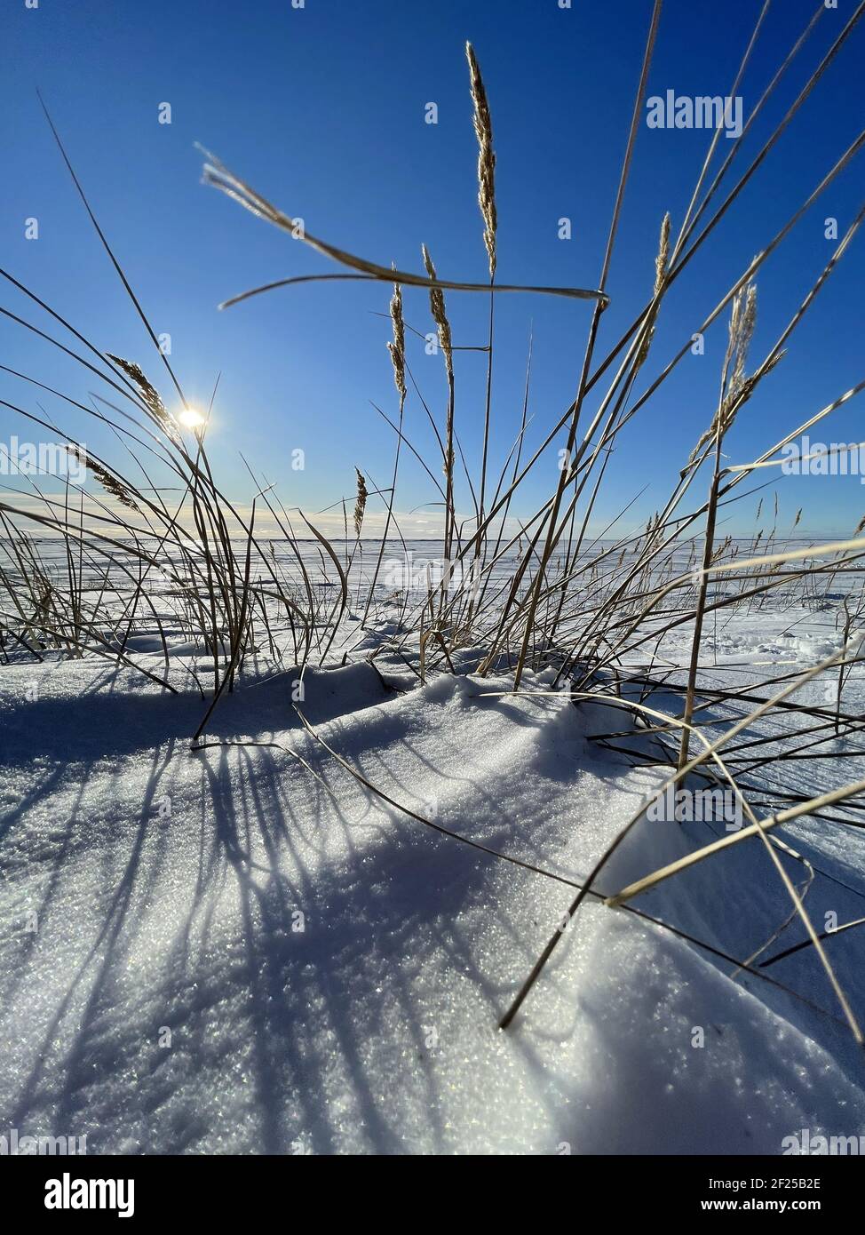 Boundless field hi-res stock photography and images - Alamy