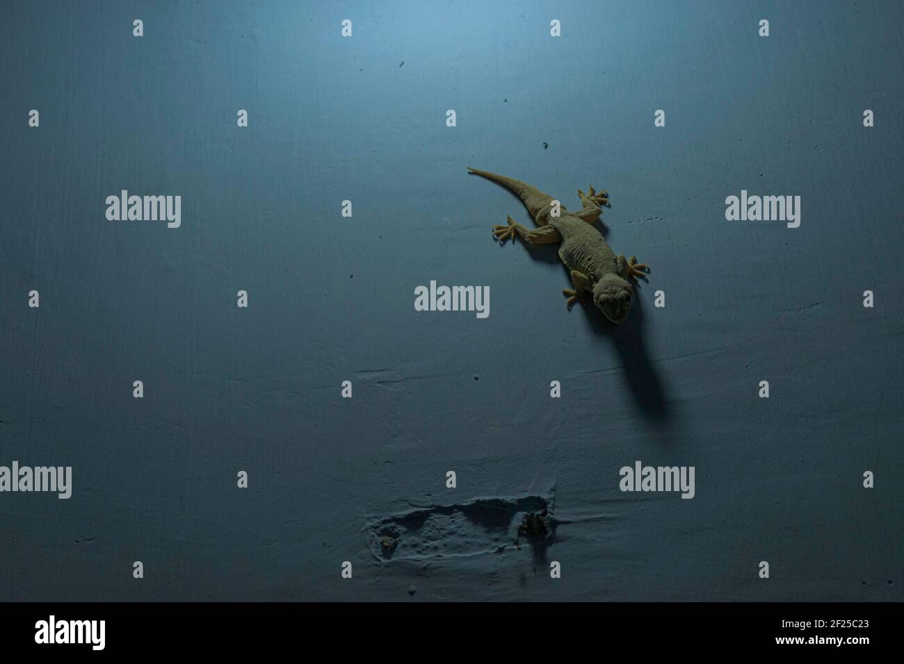 Dimly Lit At Night High Resolution Stock Photography and Images - Alamy