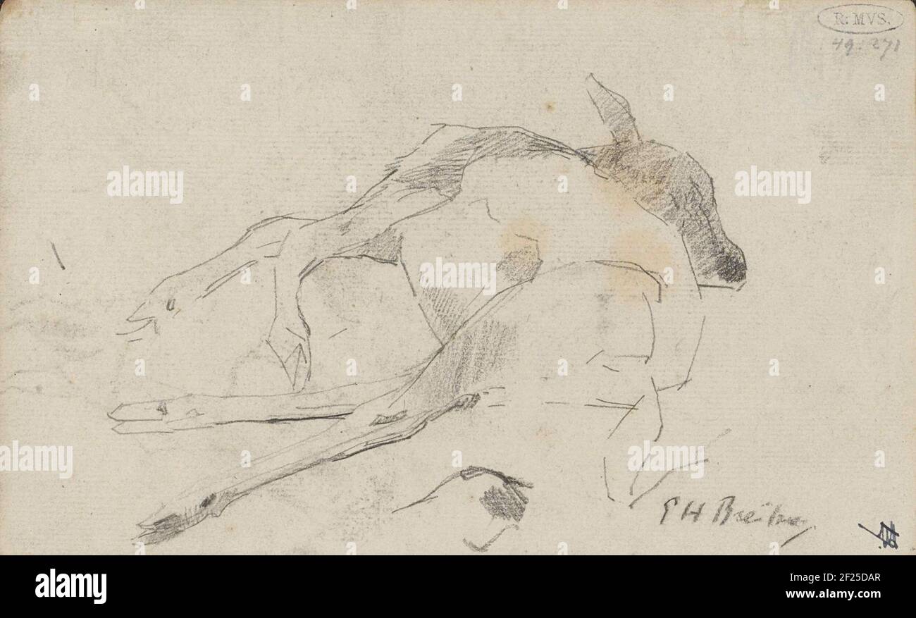 Dead deer Stock Photo - Alamy