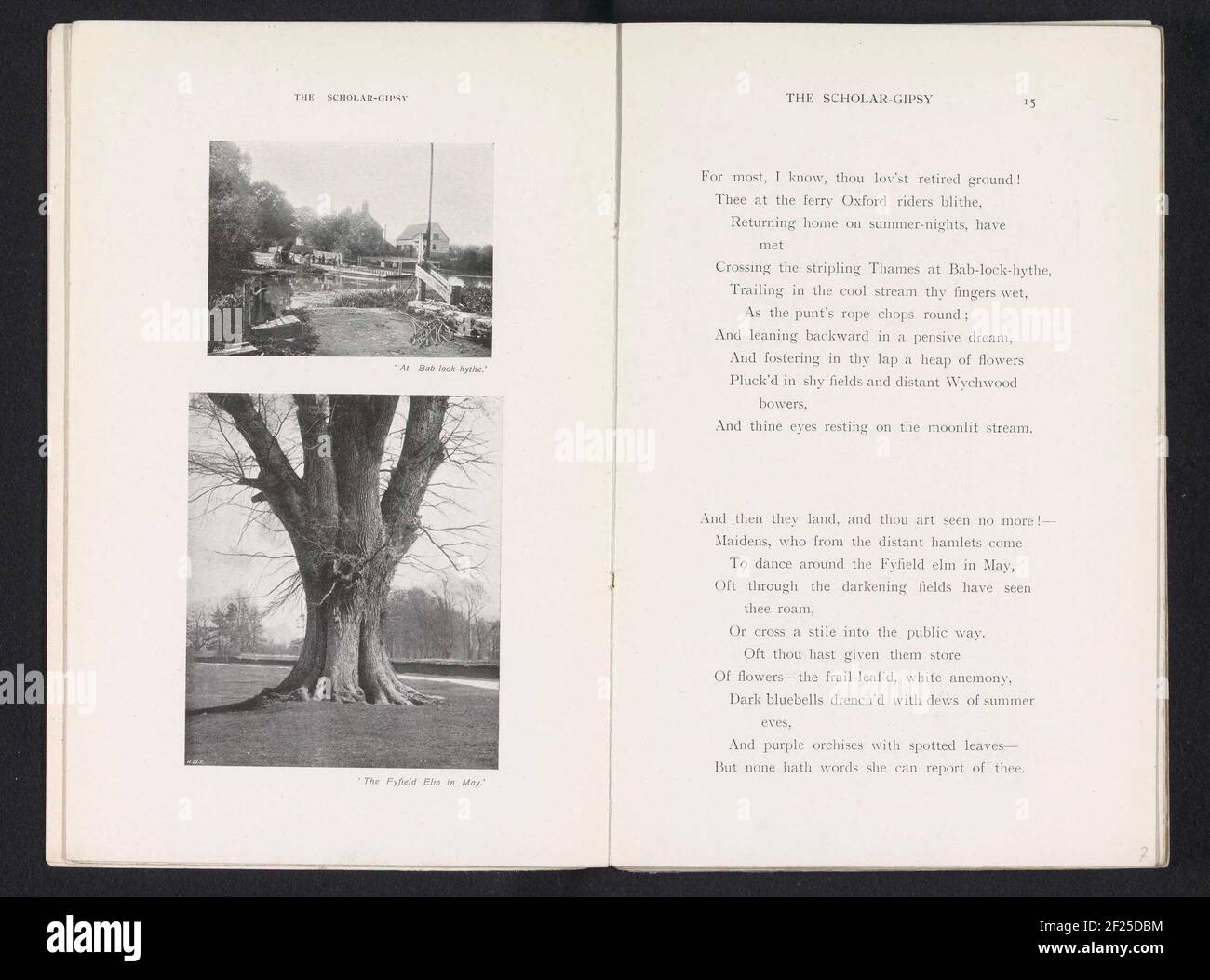 Fyfield elm hi-res stock photography and images - Alamy