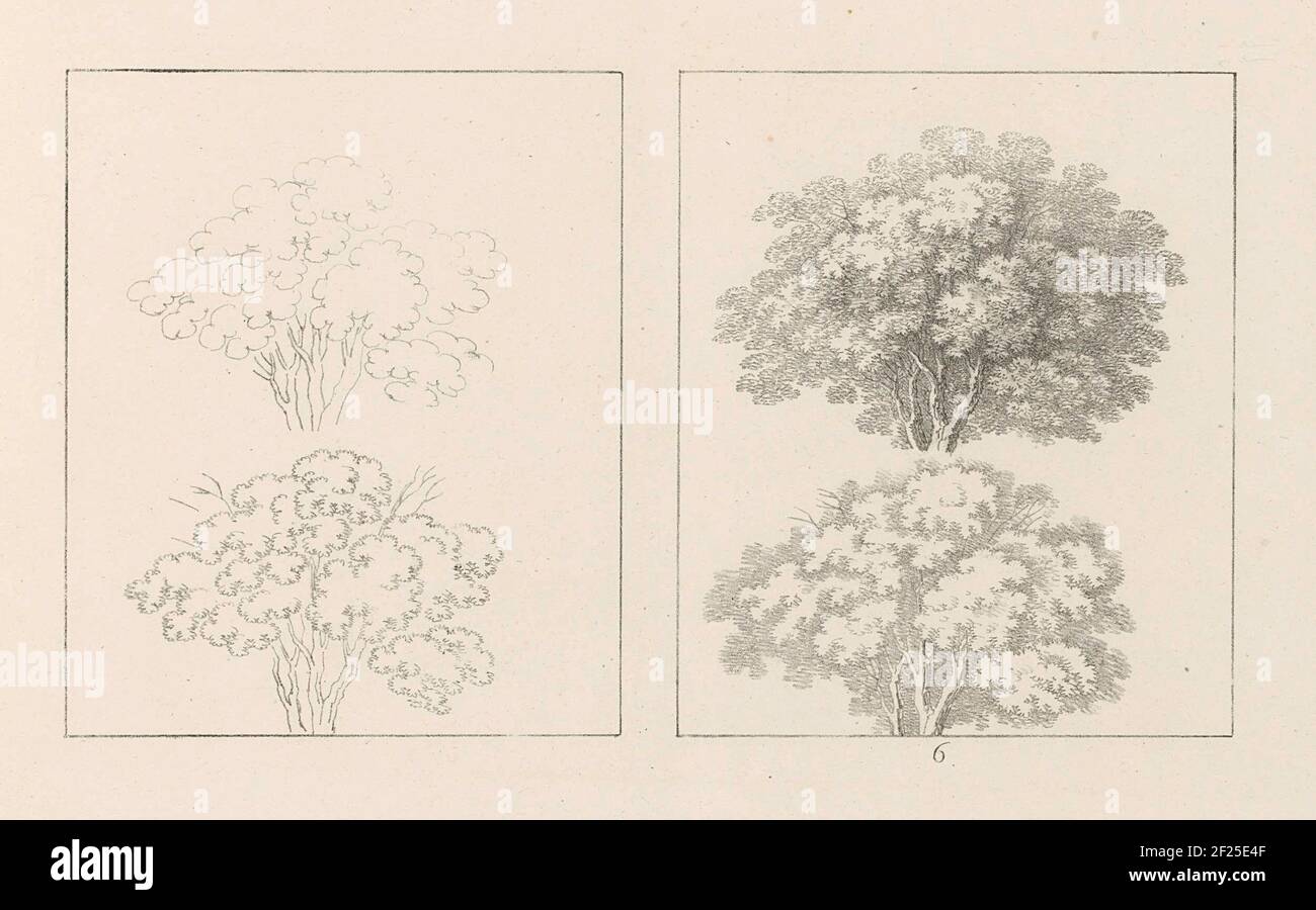 Album leaf with two performances of trees full of leaves: on the left ...
