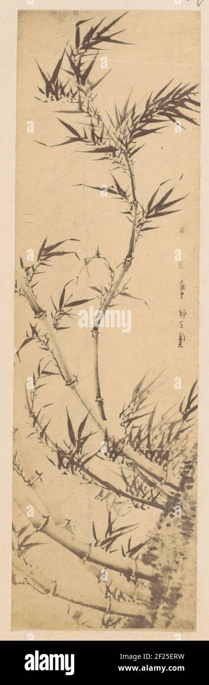 Pinging drawing with bamboo and Japanese characters Stock Photo - Alamy