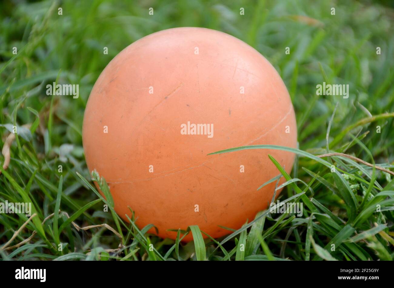 An old orange cricket ball isolated on green grass Stock Photo - Alamy