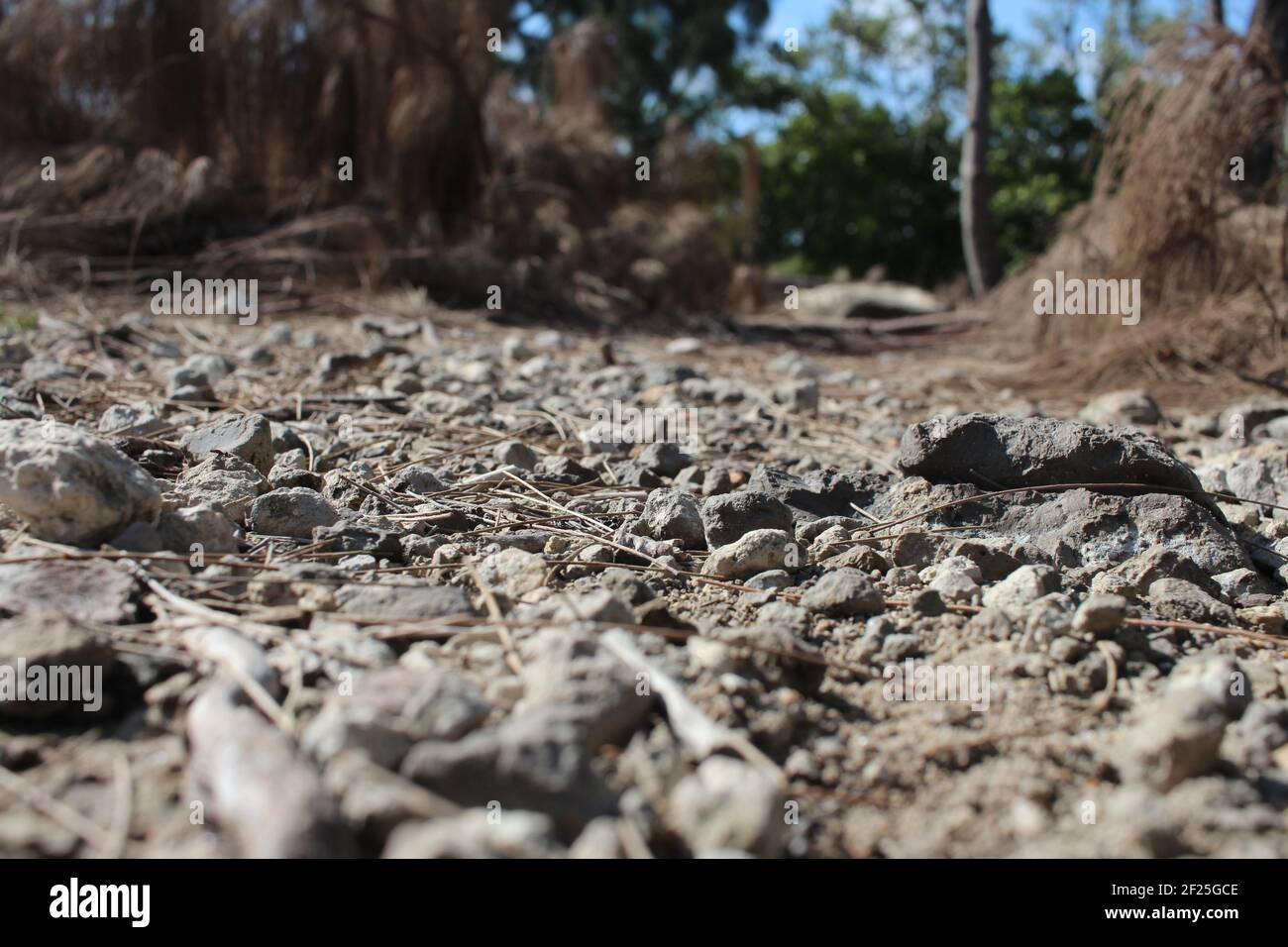 low angle rocks in the ground Stock Photo - Alamy