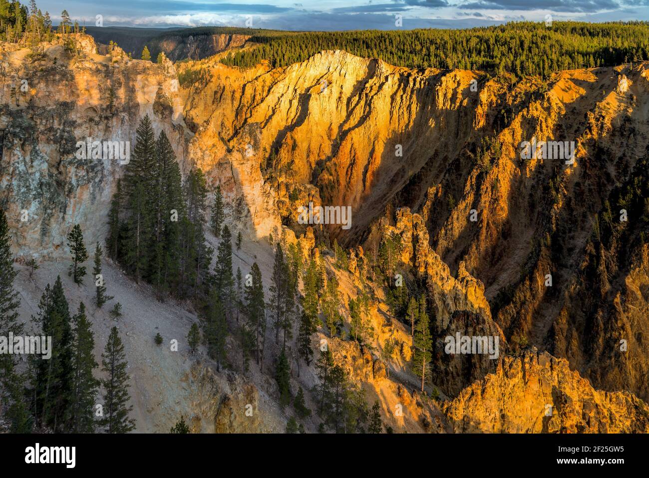 Grand Canyon of Yellowstone Stock Photo - Alamy