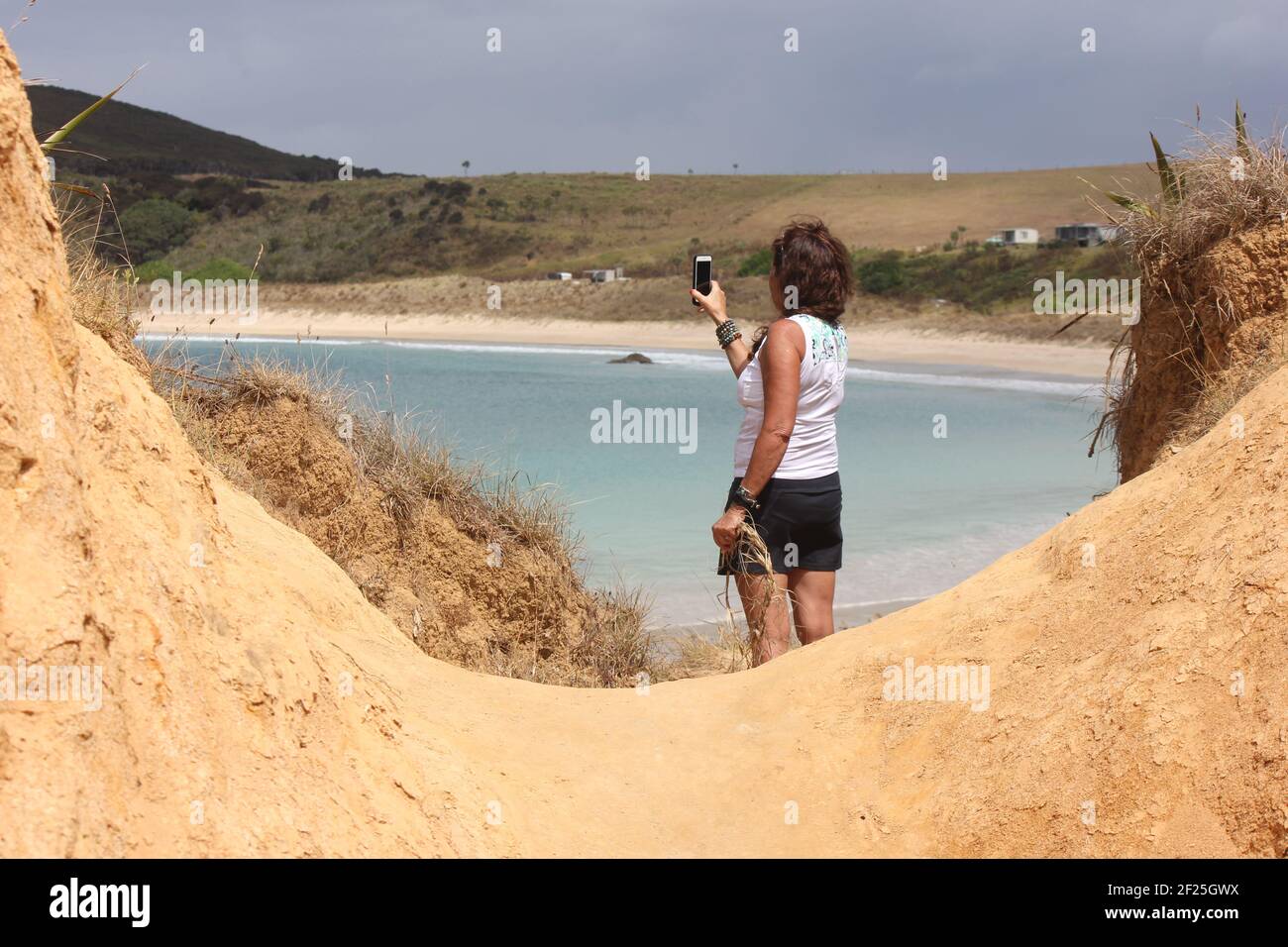 Getting a great shot! Stock Photo - Alamy