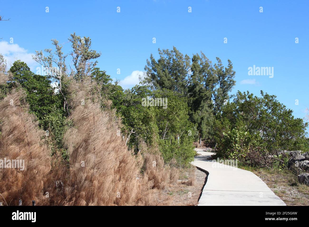 Naturecenter hi-res stock photography and images - Alamy