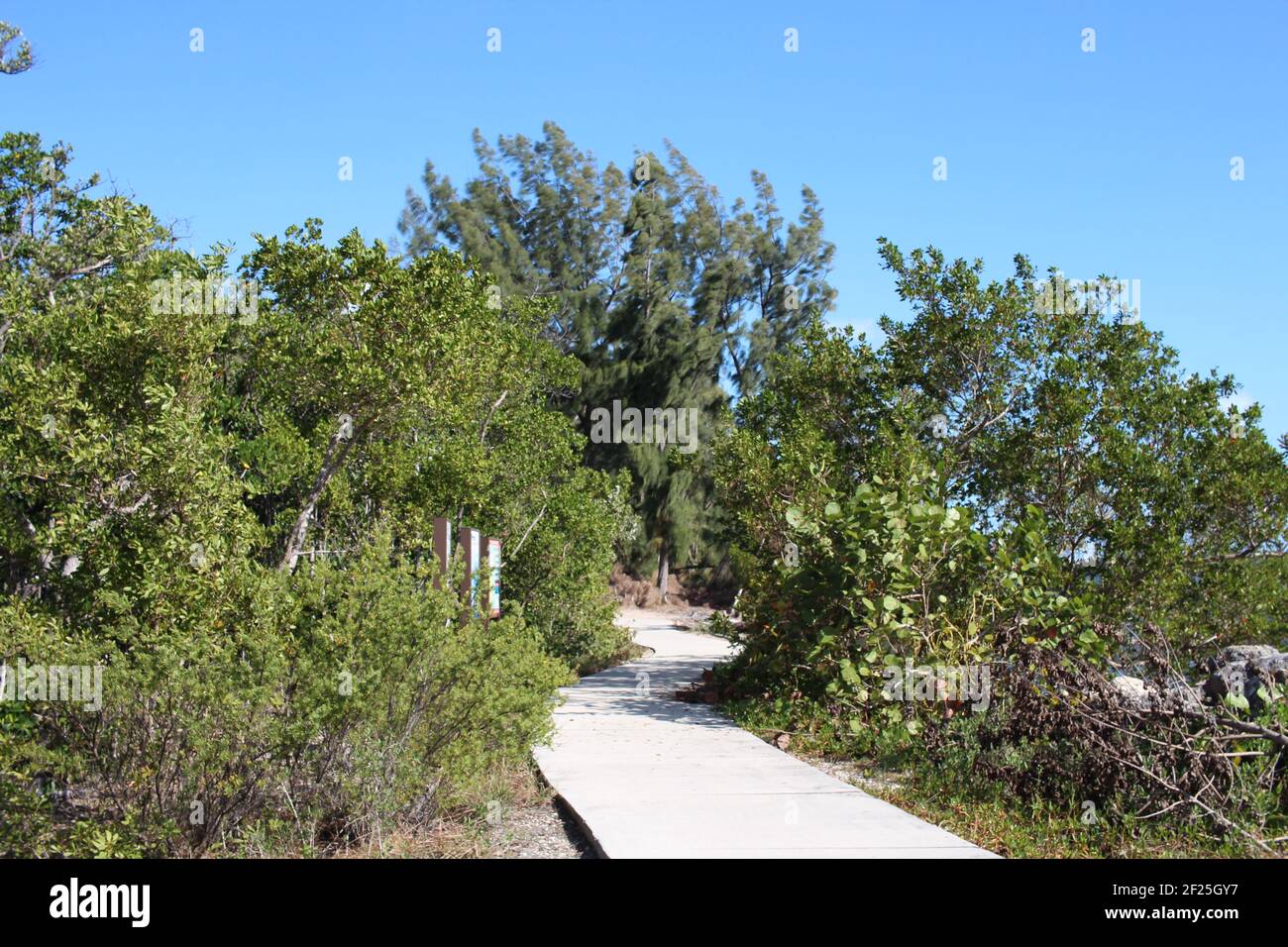 Wide trail foliage in hi-res stock photography and images - Alamy