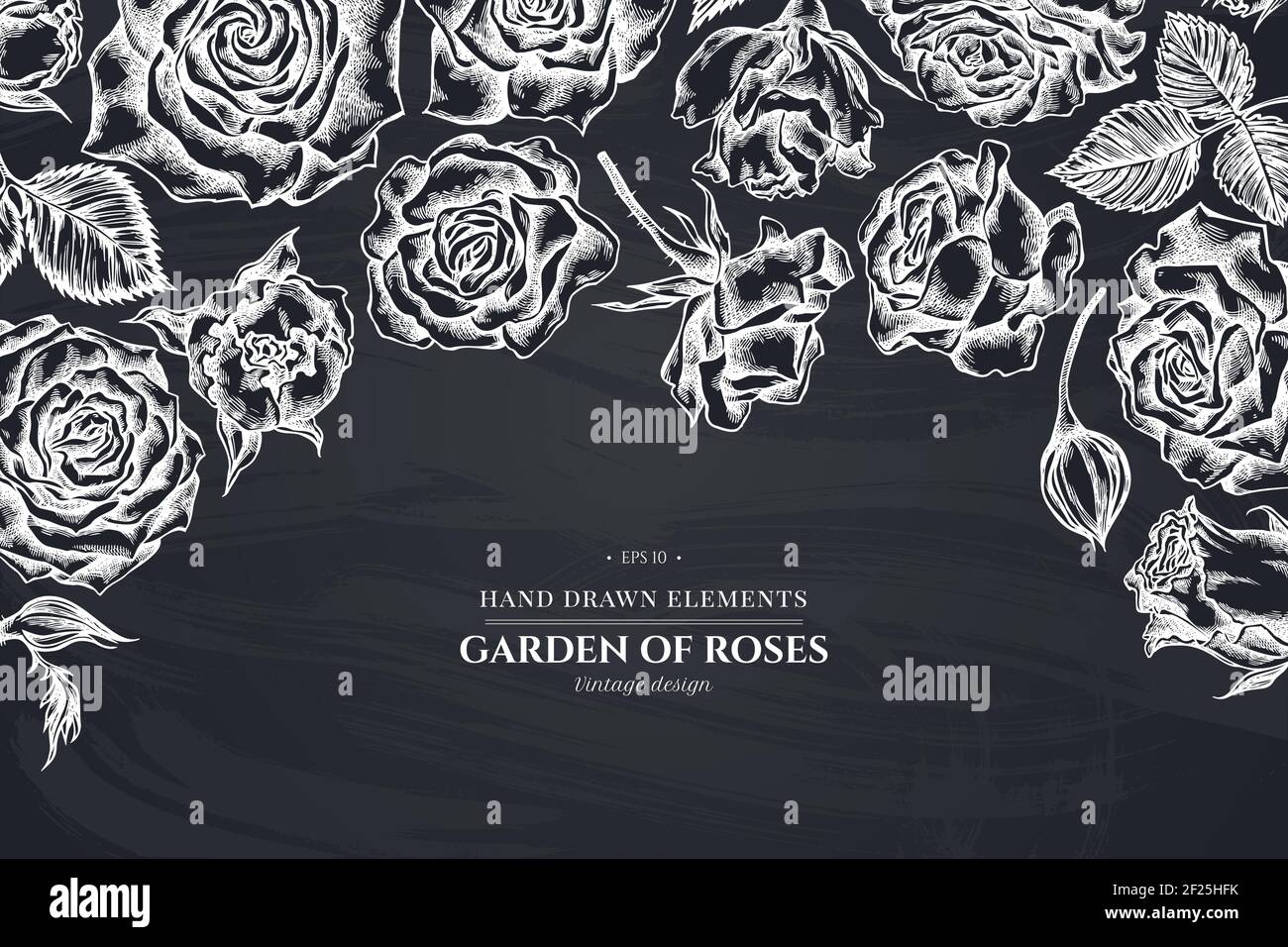 Floral design with chalk roses Stock Vector Image & Art - Alamy