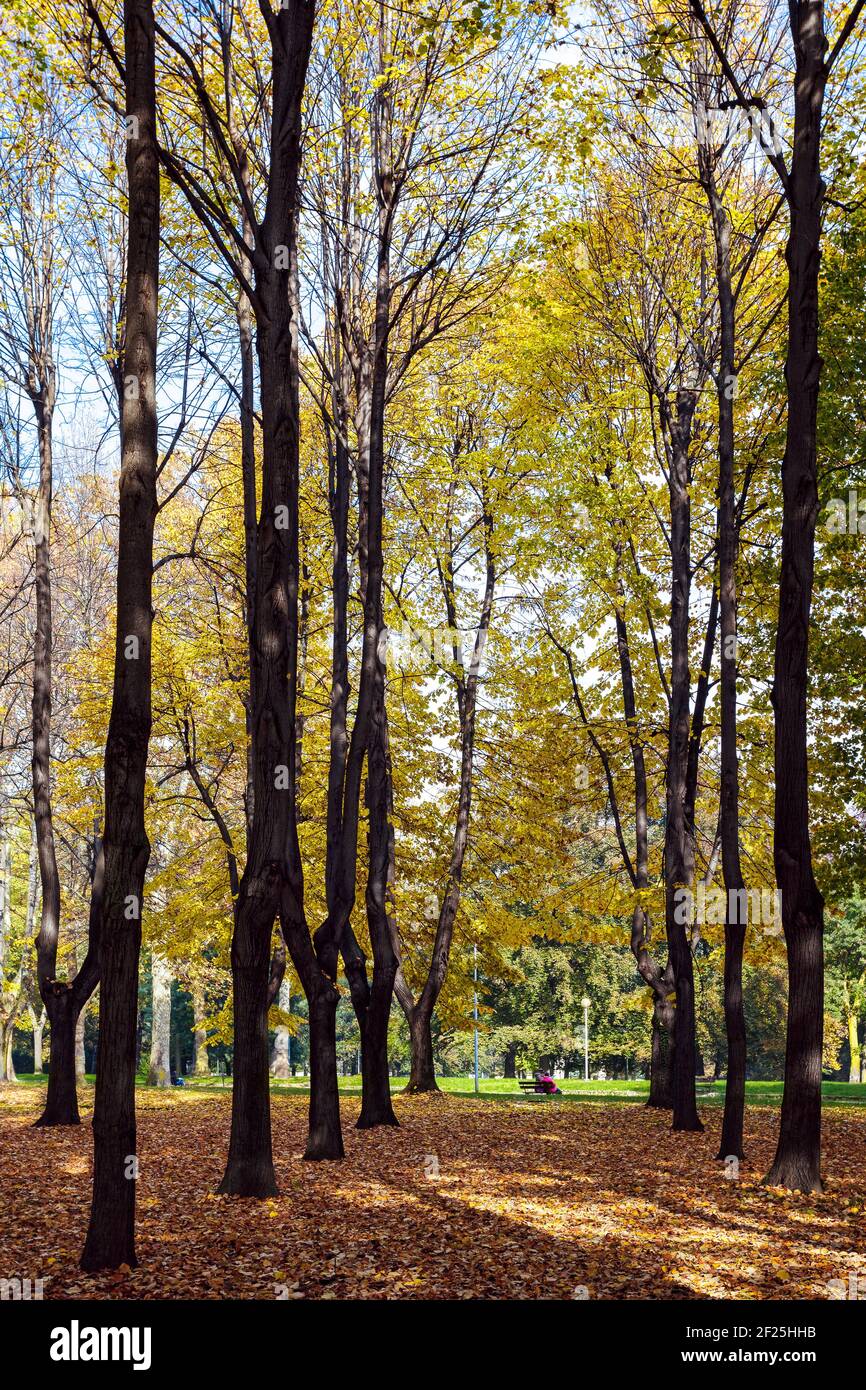 Parco of monza hi-res stock photography and images - Alamy