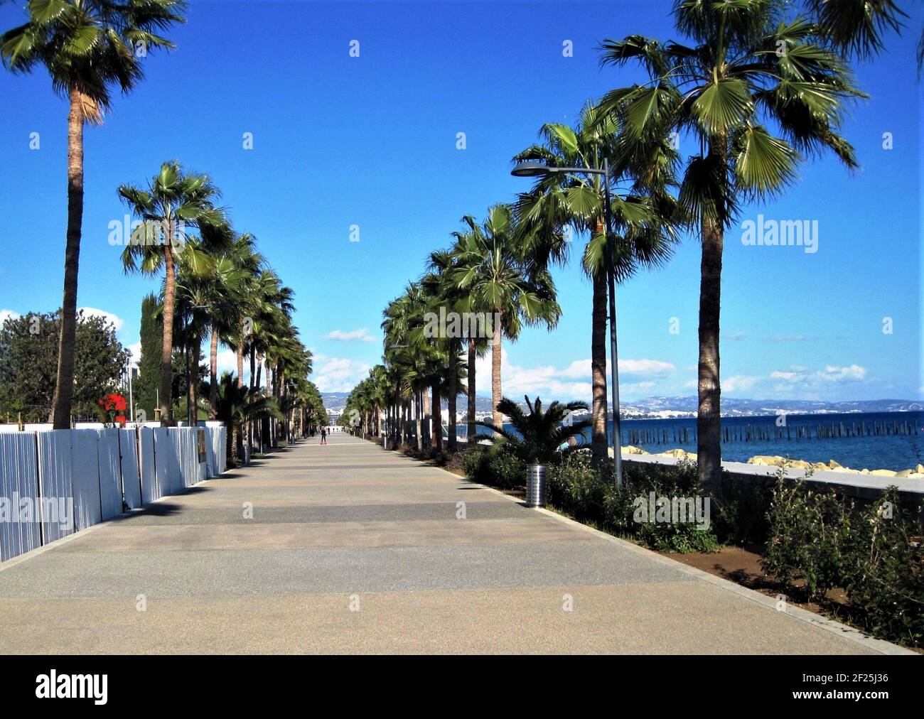 Palm tree lined coastal walkway, Limassol, Cyprus Stock Photo - Alamy