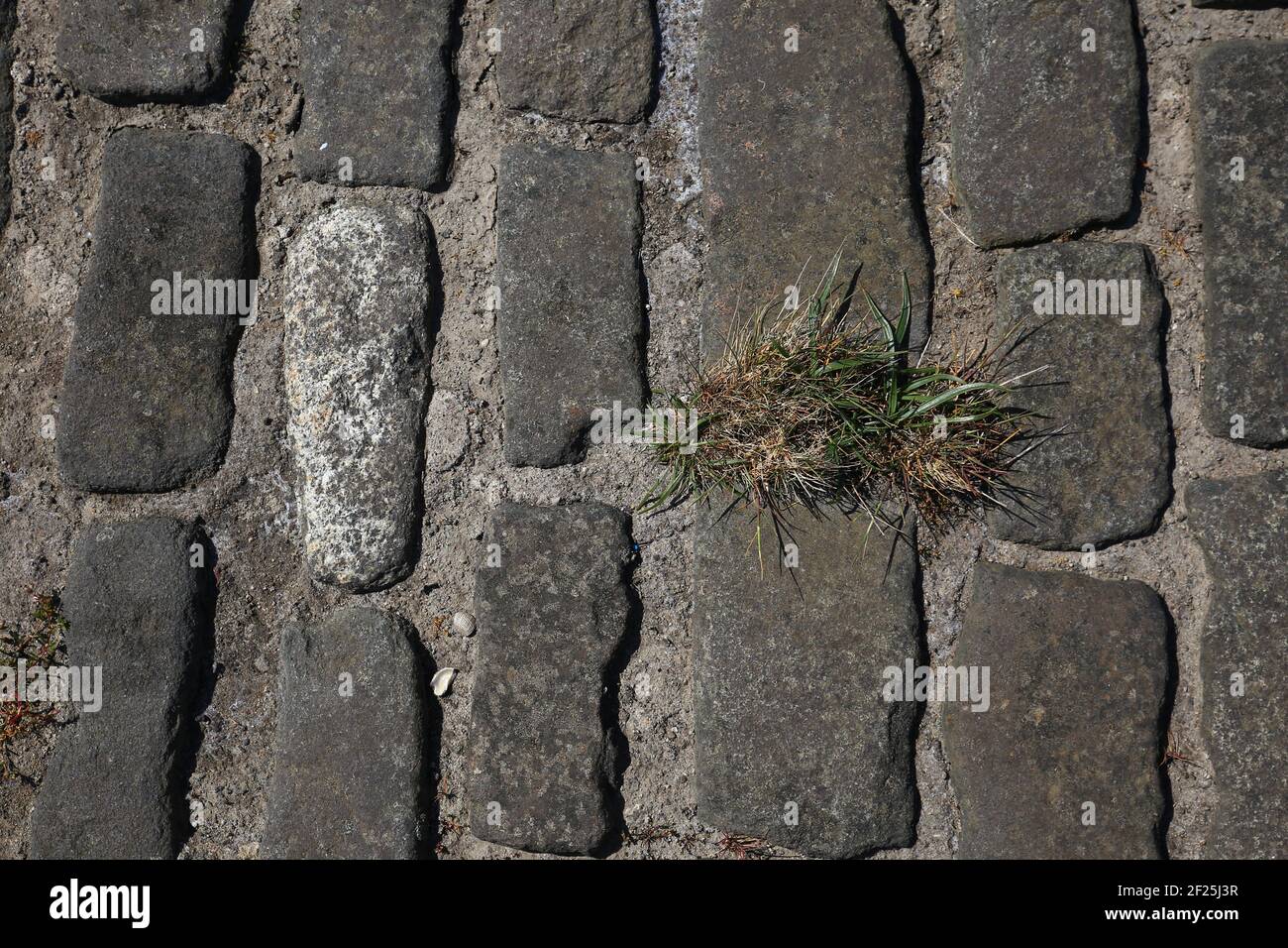Square Stone Pavement Texture Close Up Stock Photo - Alamy