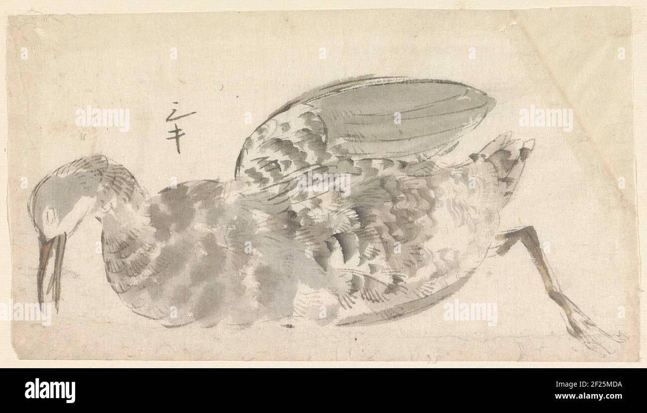 Dead water bird hi-res stock photography and images - Alamy